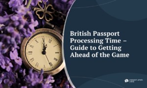 British Passport Processing Time - UK