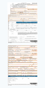 DS-11 Passport Form - How to Fill It Out (with Examples)