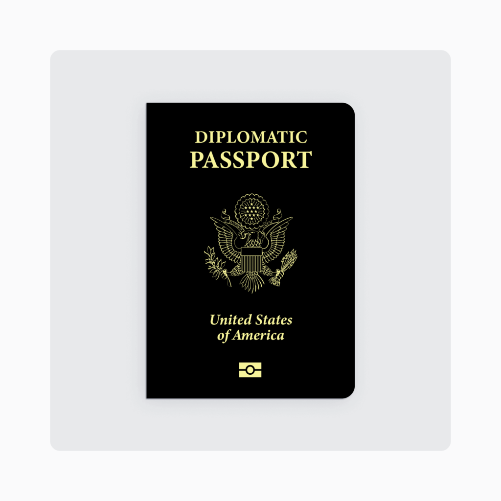 Type P Passport: What Is It, and What Does It Mean?