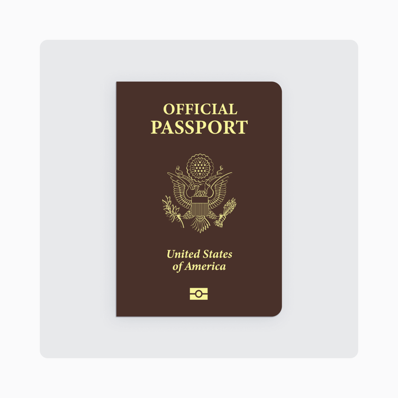 Type P Passport: What Is It, and What Does It Mean?
