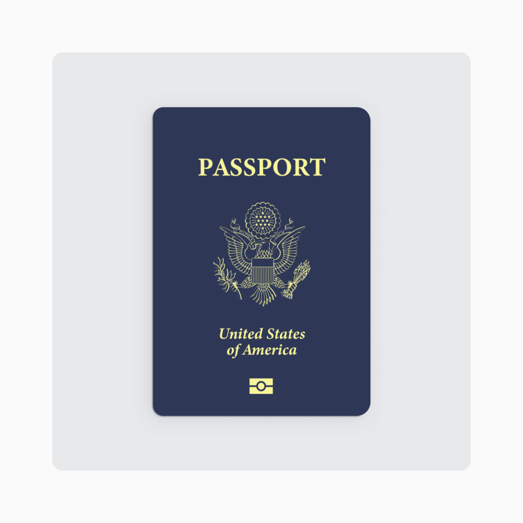 Type P Passport: What Is It, and What Does It Mean?